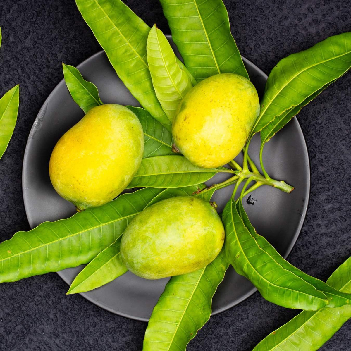 Discovering the Delightful Essence of Rasalu Mangoes: A Journey with ...